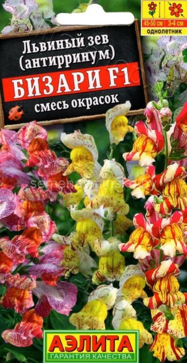 Купить семена почтой Минск