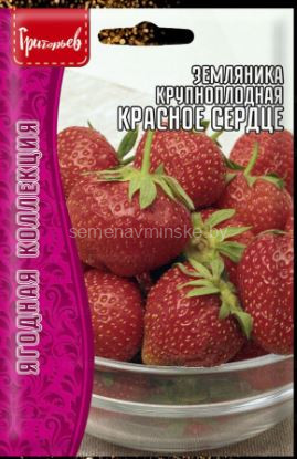 Купить семена почтой Минск